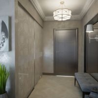 Дизайн прихожей 2 на 2 м и коридора 3,4,5,6,7,8 и 9 кв м +95 фото